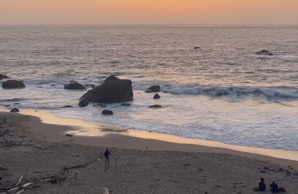 The SF List: Your Second SF Trip - by Emma Rose