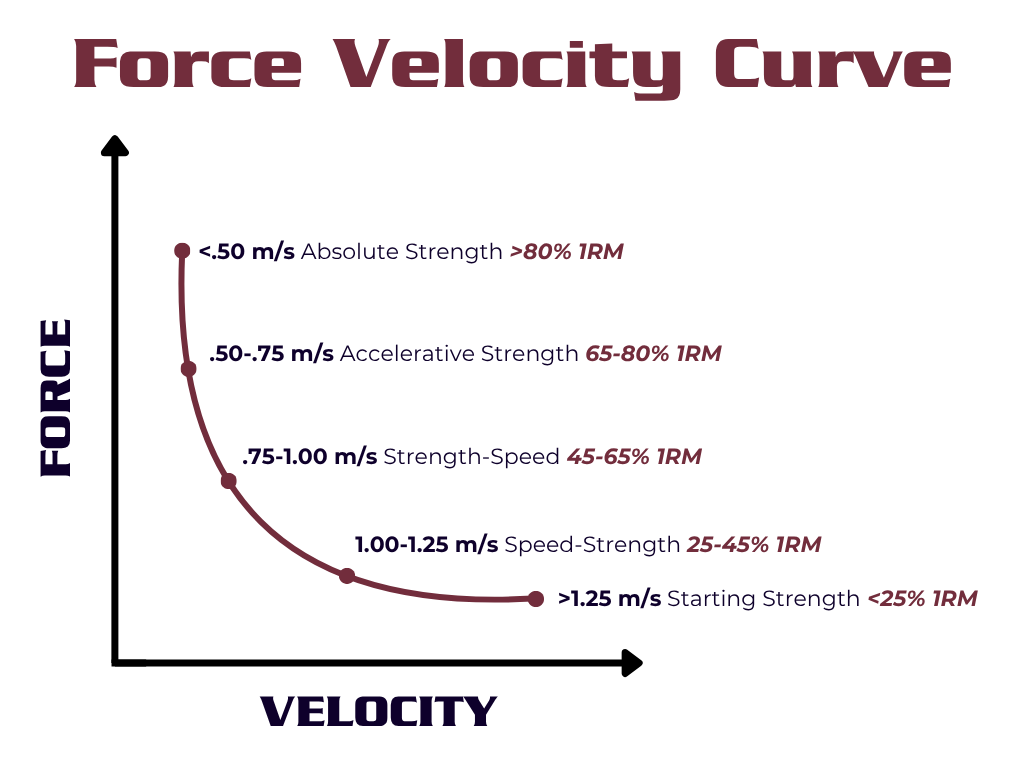 How to Coach VBT Like a Pro: Zones, Flow & Real-World Structure