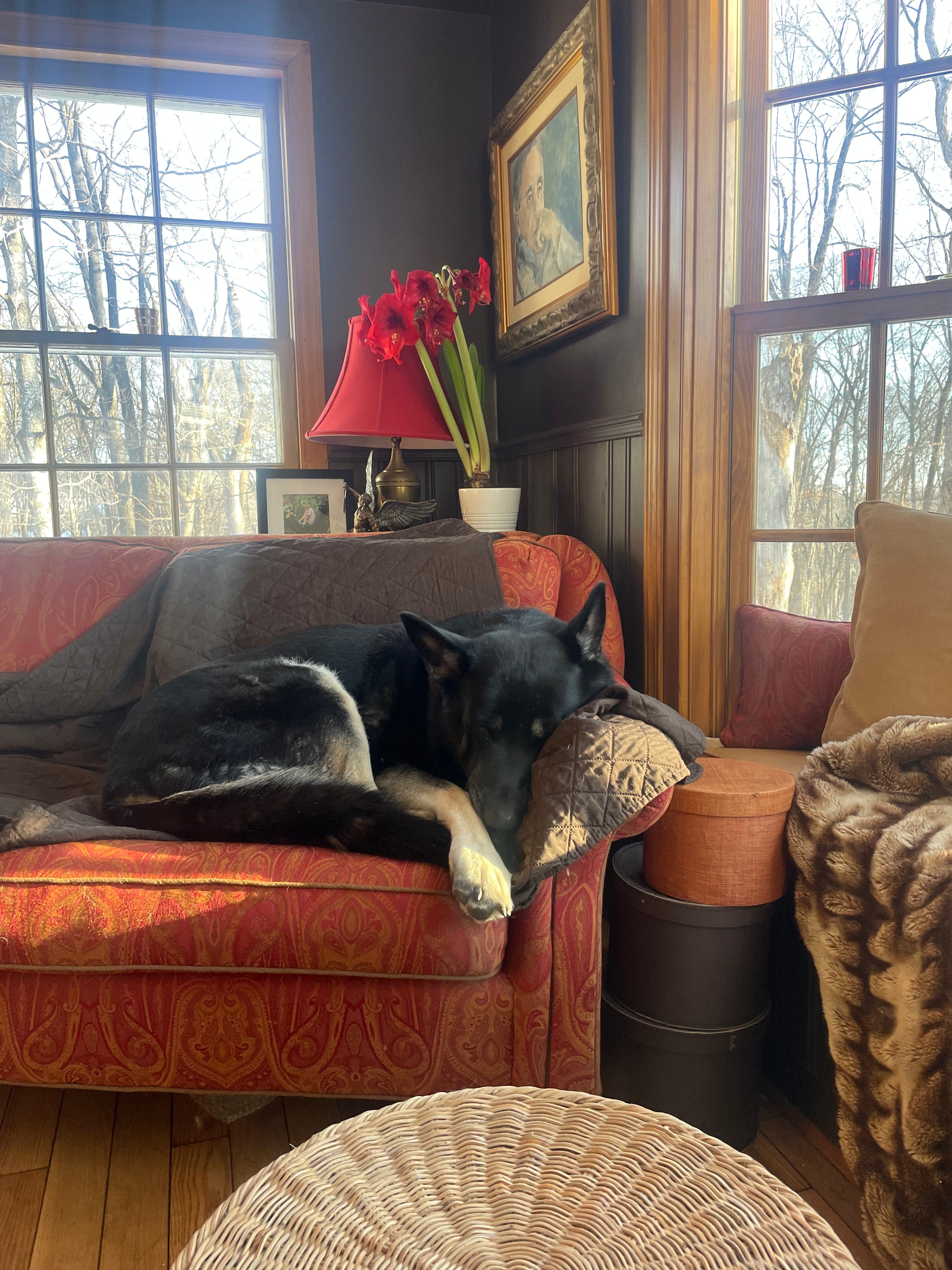 Tom Homan: Defining Deviancy Down - by Charlie Sykes