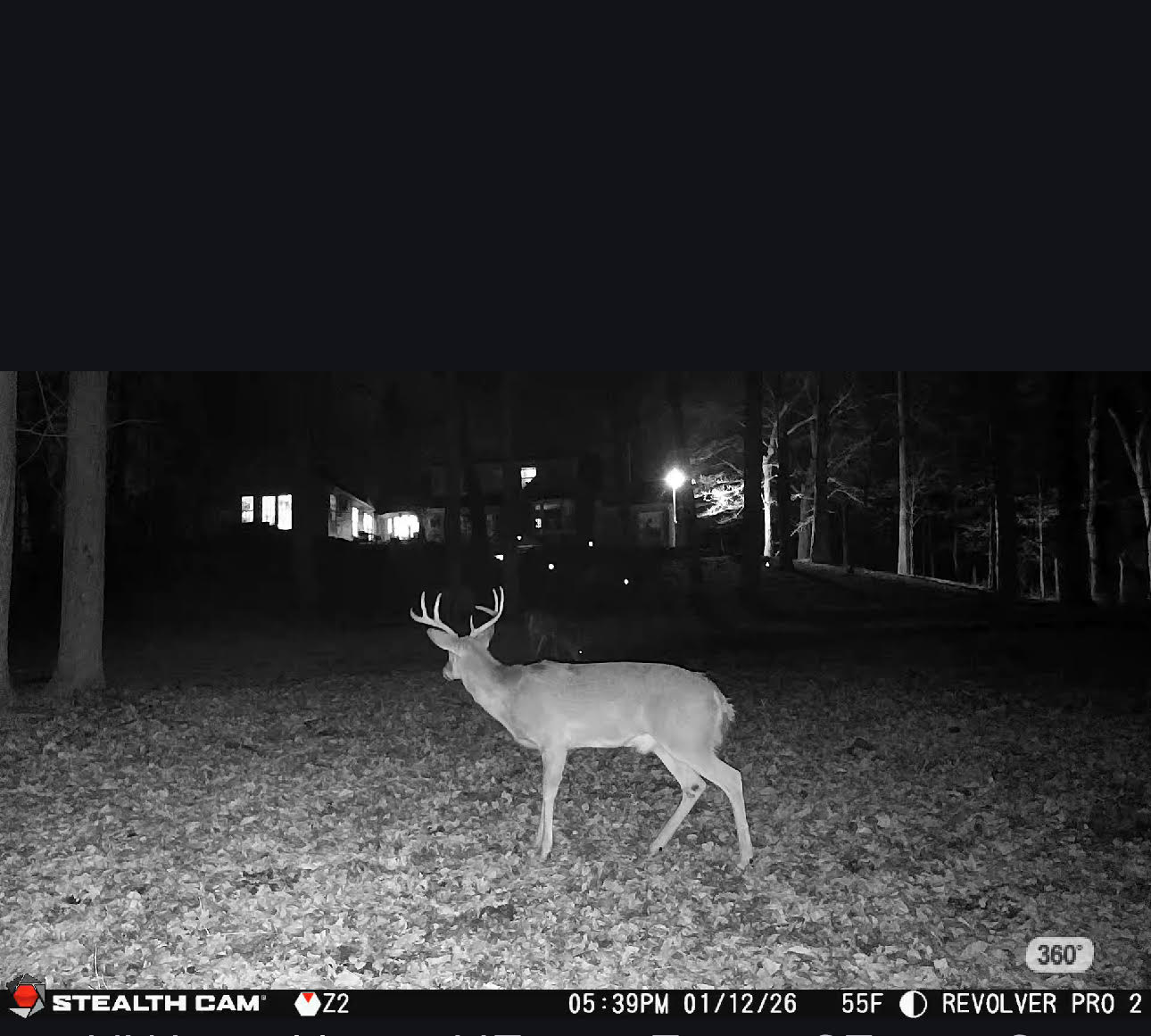 Trump Slouches Toward the War He Wants - by Charlie Sykes