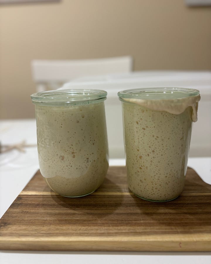 Sourdough Starter Tips I Wish Someone Had Told Me Sooner
