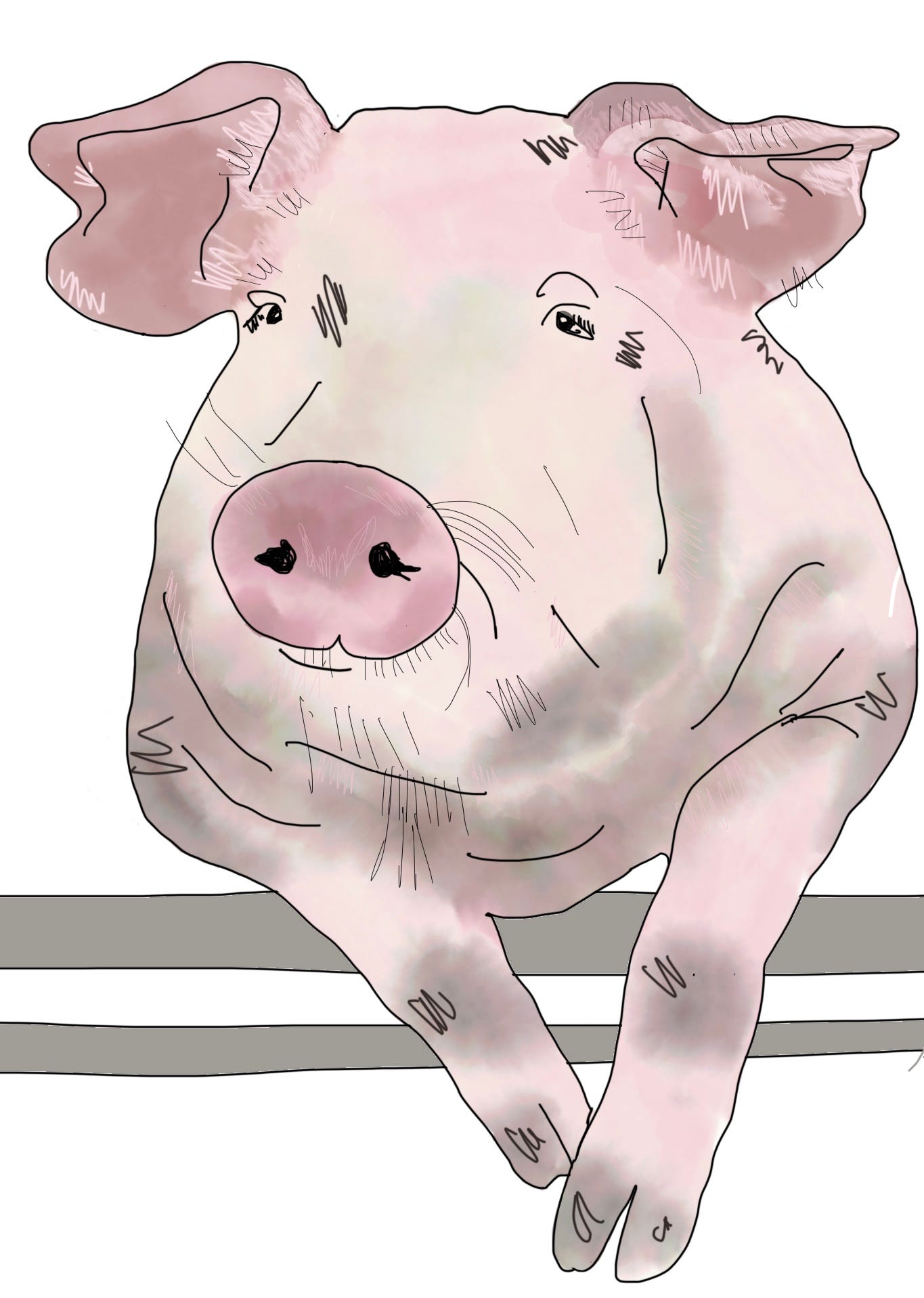 Be the Boar - Feminist Food Journal