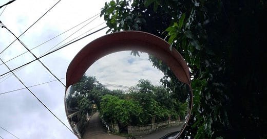 my symptoms of culture | alissa | Substack