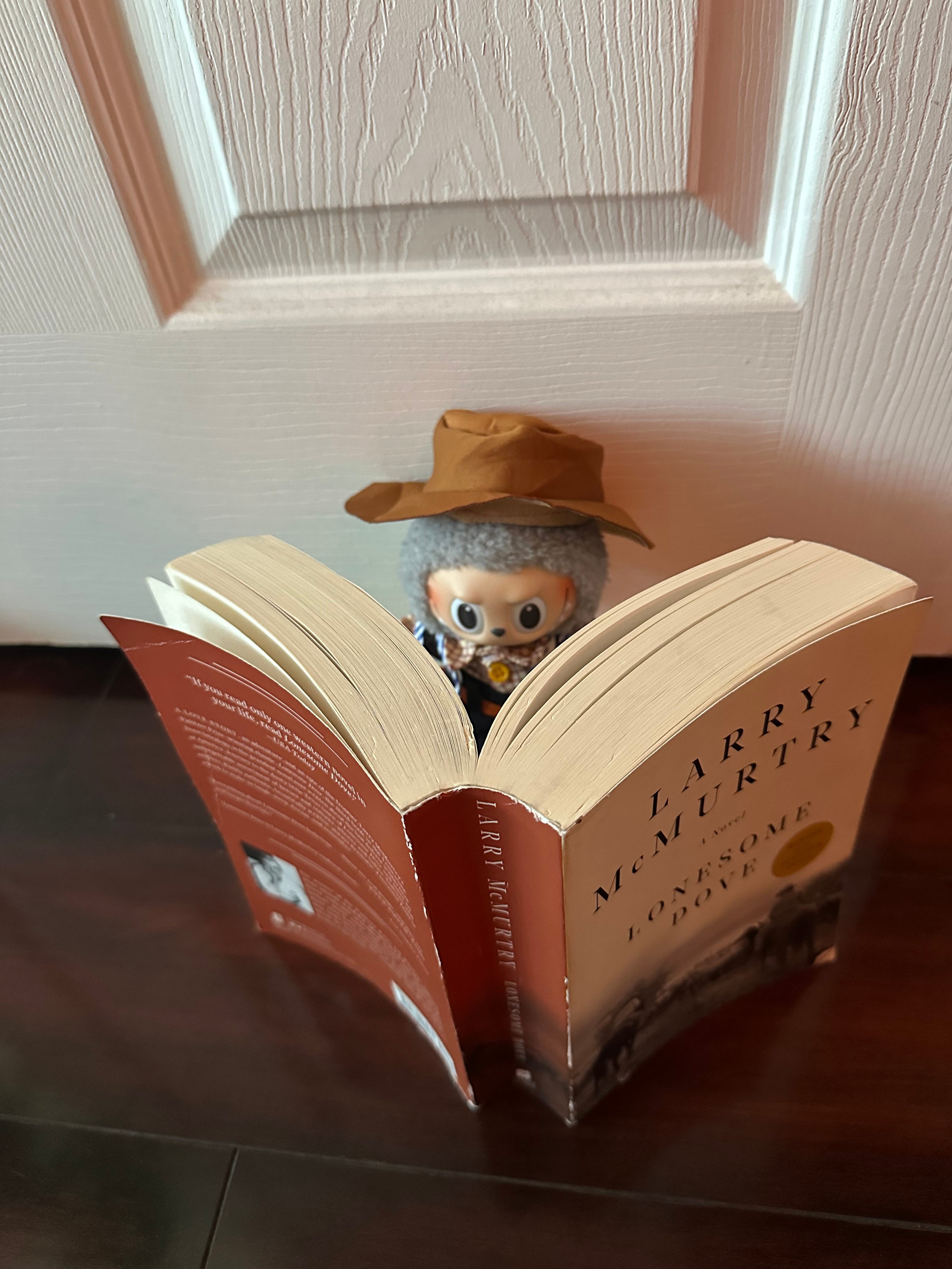 All the books I read in 2025 - by Danielle Bukowski