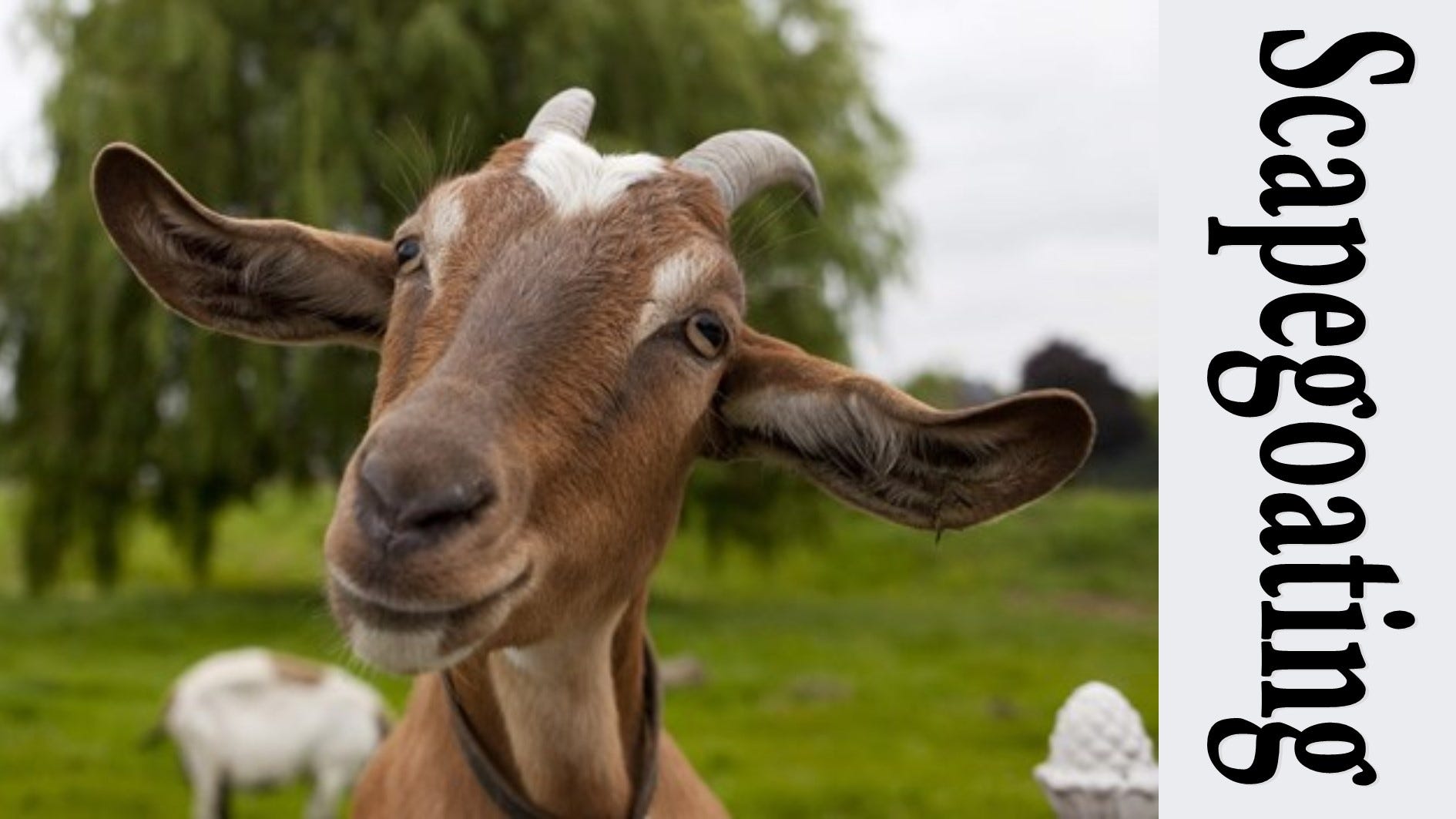 6. René Girard’s Scapegoat Mechanism - by Graham Turner