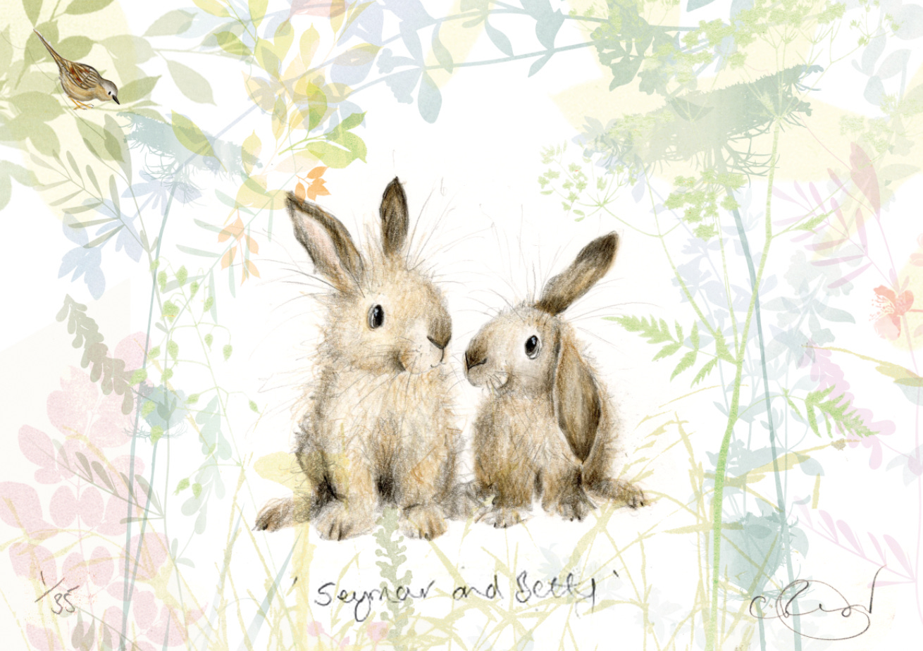 Catherine Rayner (@catherinerayner): "Seymour and Betty. I’ve been ...