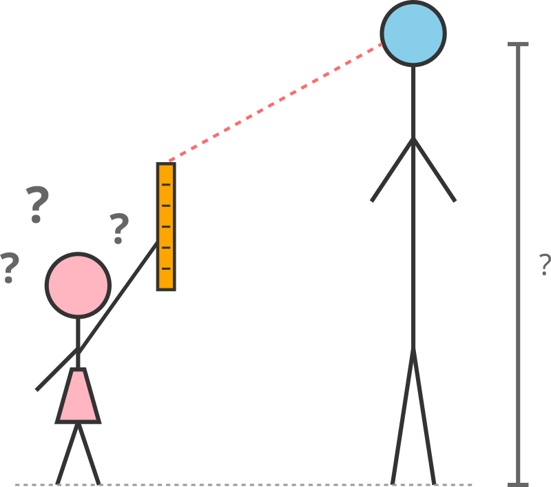 Yes, Women Prefer Tall Men, But the Data Says They’re Being Realistic