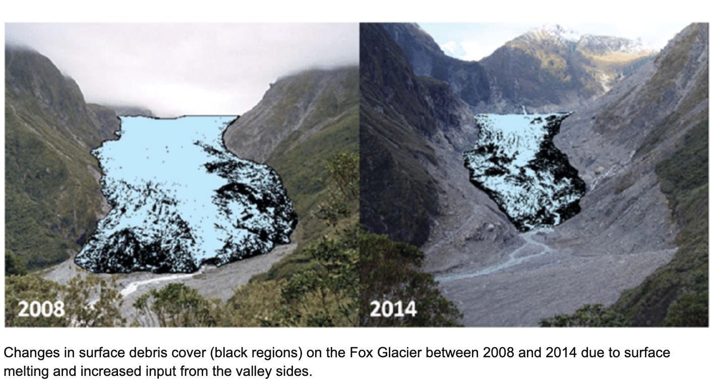 Why would New Zealand disestablish the Ministry of Environment?