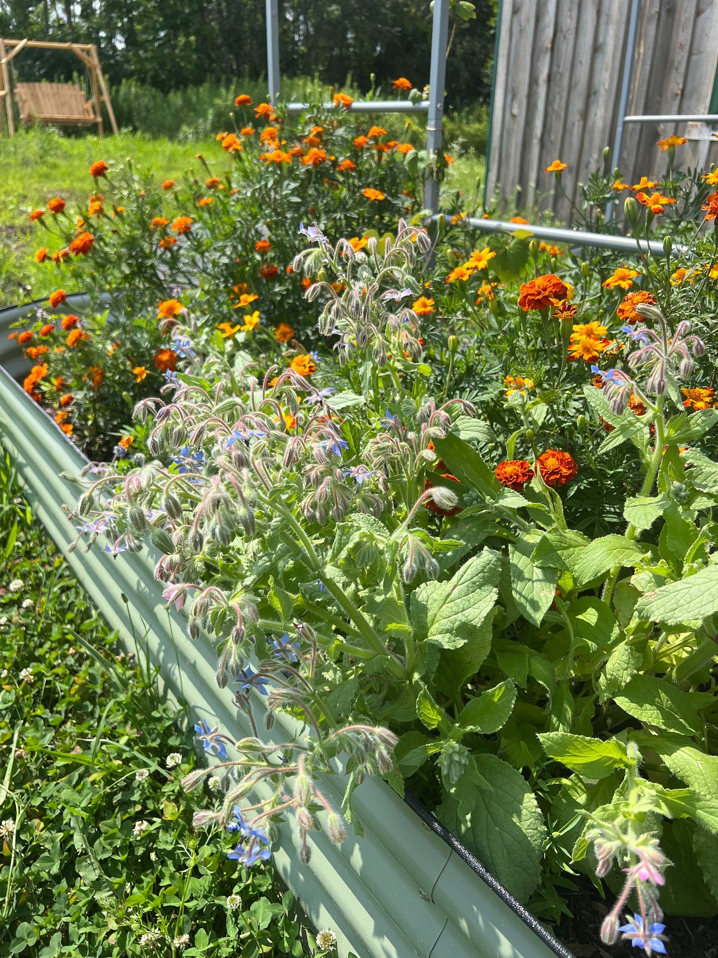 Buying land with a USDA loan: ALL of your different options, explained