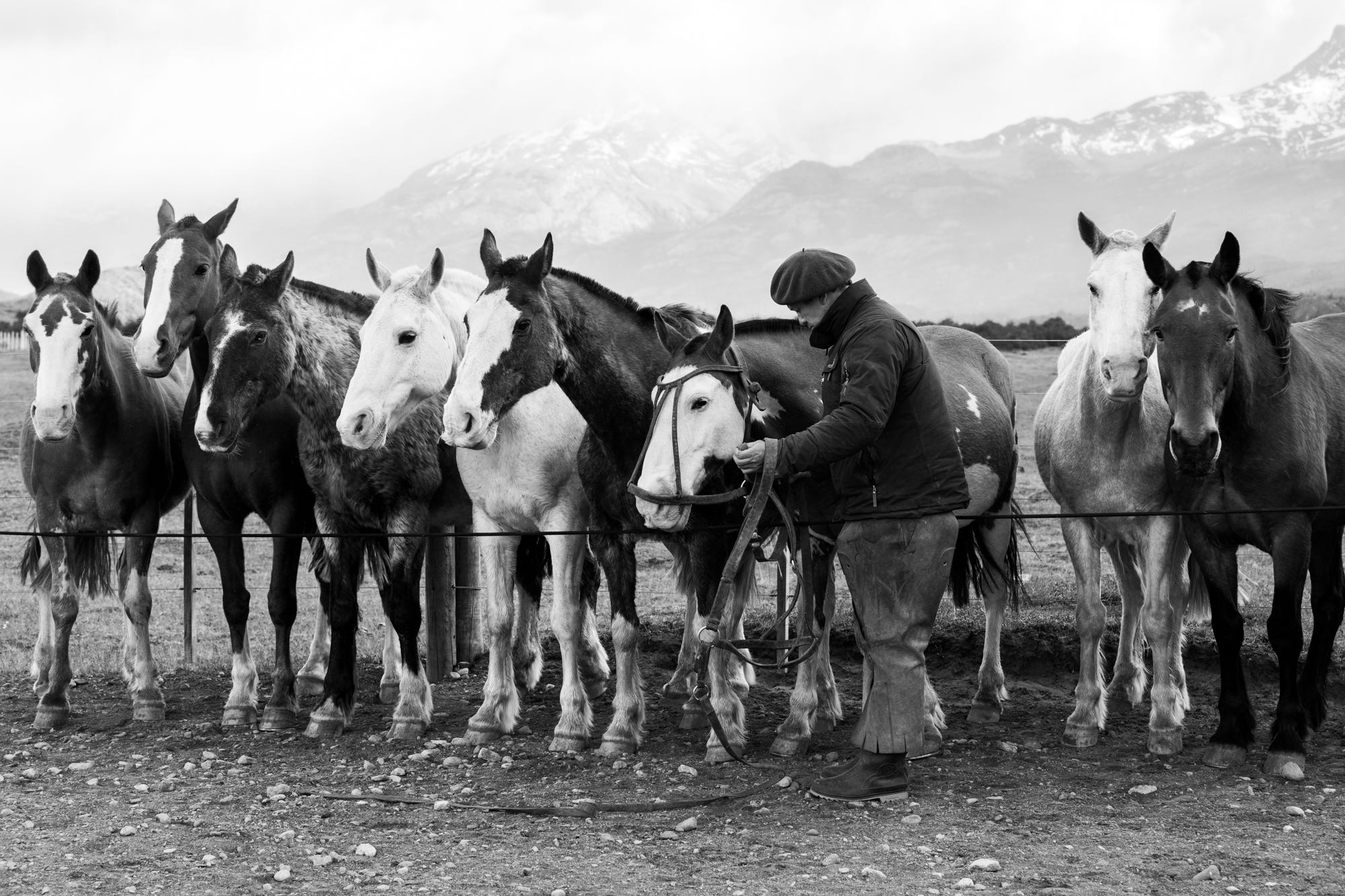 Faces of the Frontier 🐎🏔️🇦🇷 - by Heather Carpenter