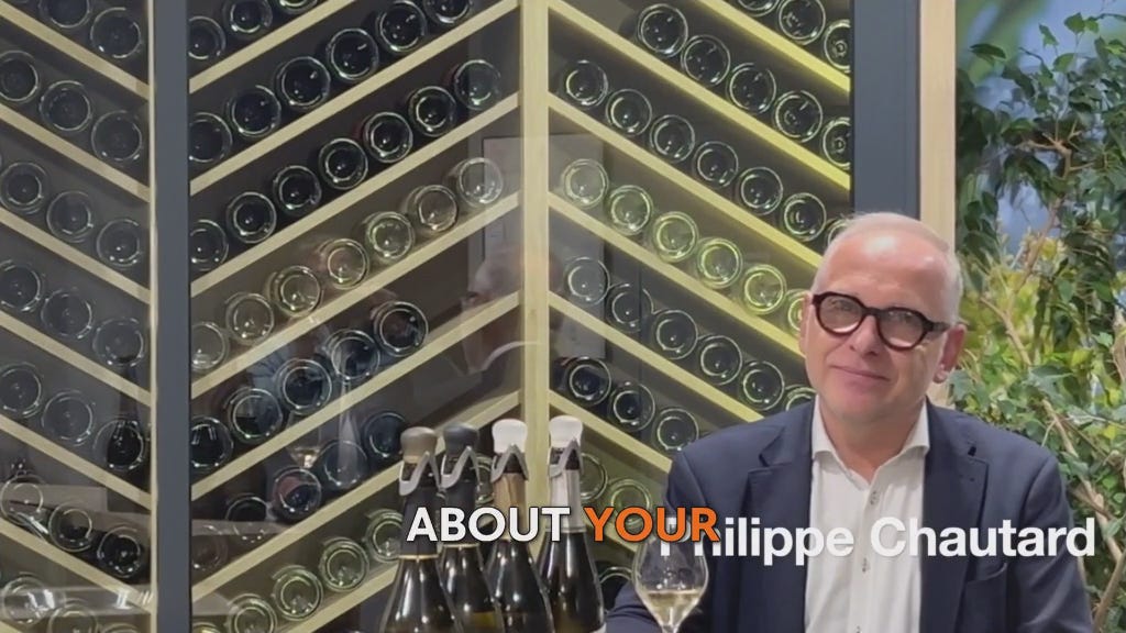 THE BRIEF | Maya Plentz | Substack