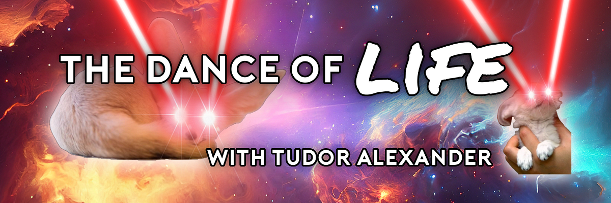 Tudor Alexander | Substack