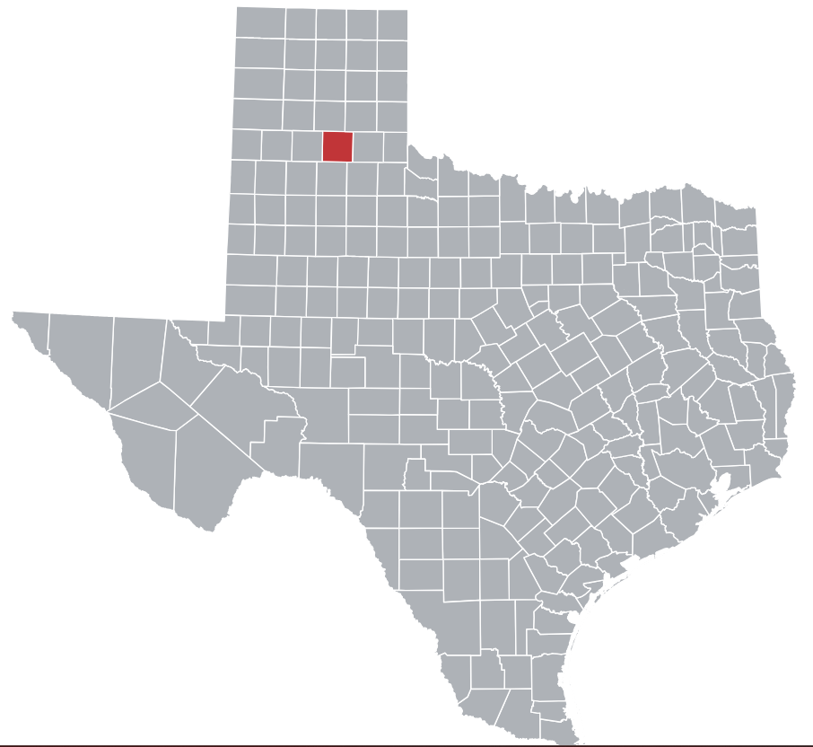 Texas: Anthrax case reported in Briscoe County steer