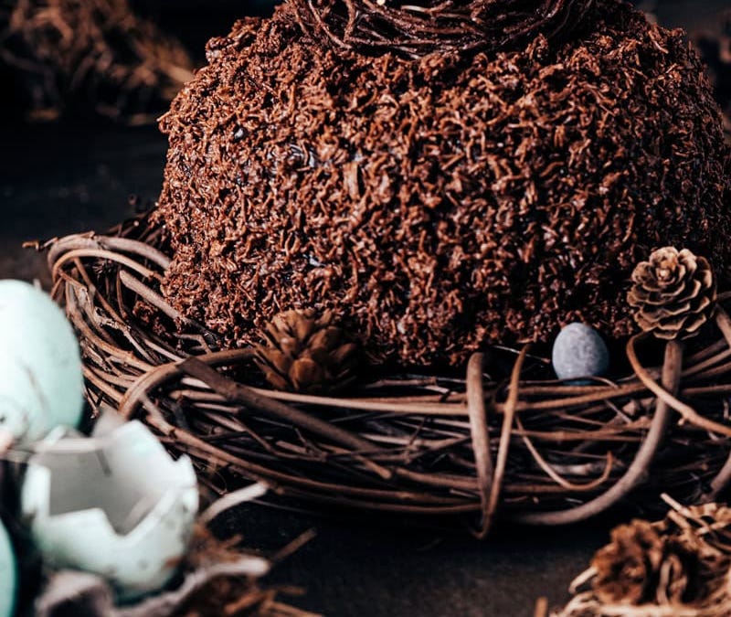 Gâteau nid de Pâques au chocolat : Une recette originale