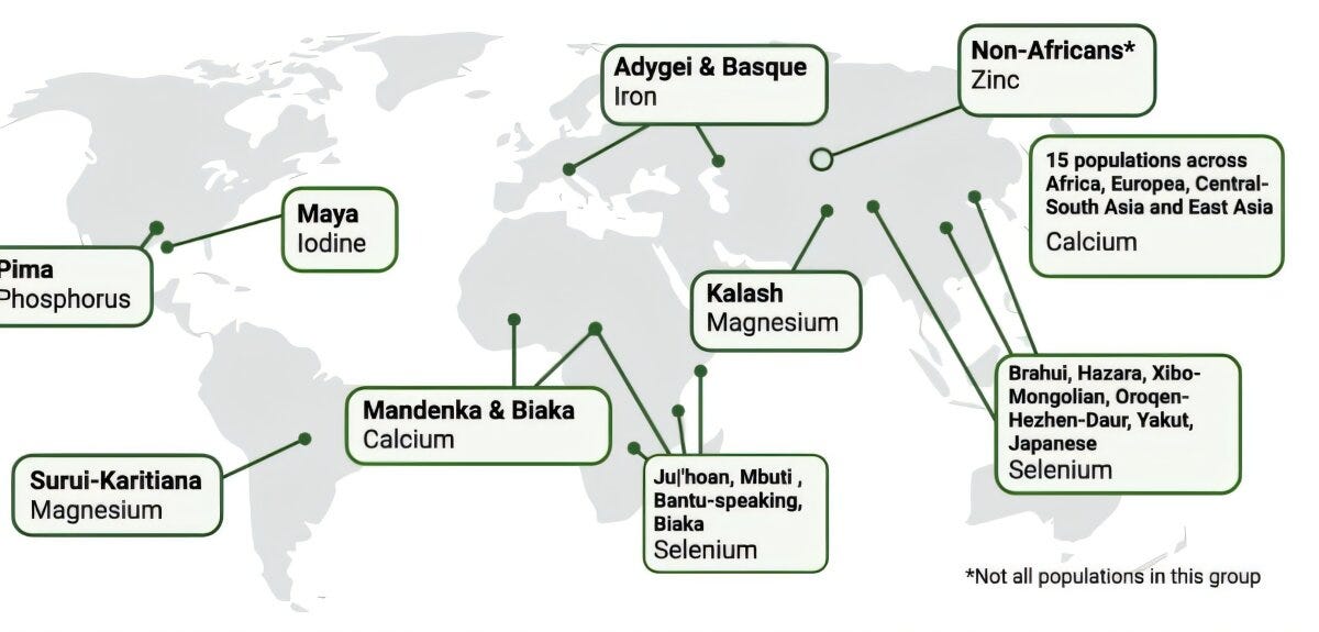 The Hidden Nutrient Map Inside Our DNA - Anthropology.net
