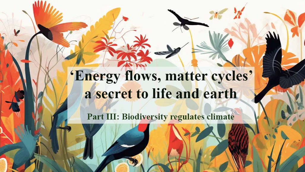 'Energy flows and matter cycles' ; a secret to life and earth