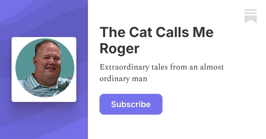 Proposals - by Scott Haines - The Cat Calls Me Roger