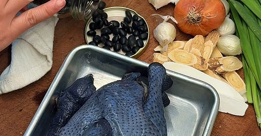 Qi Codes | Alice Sun | Substack