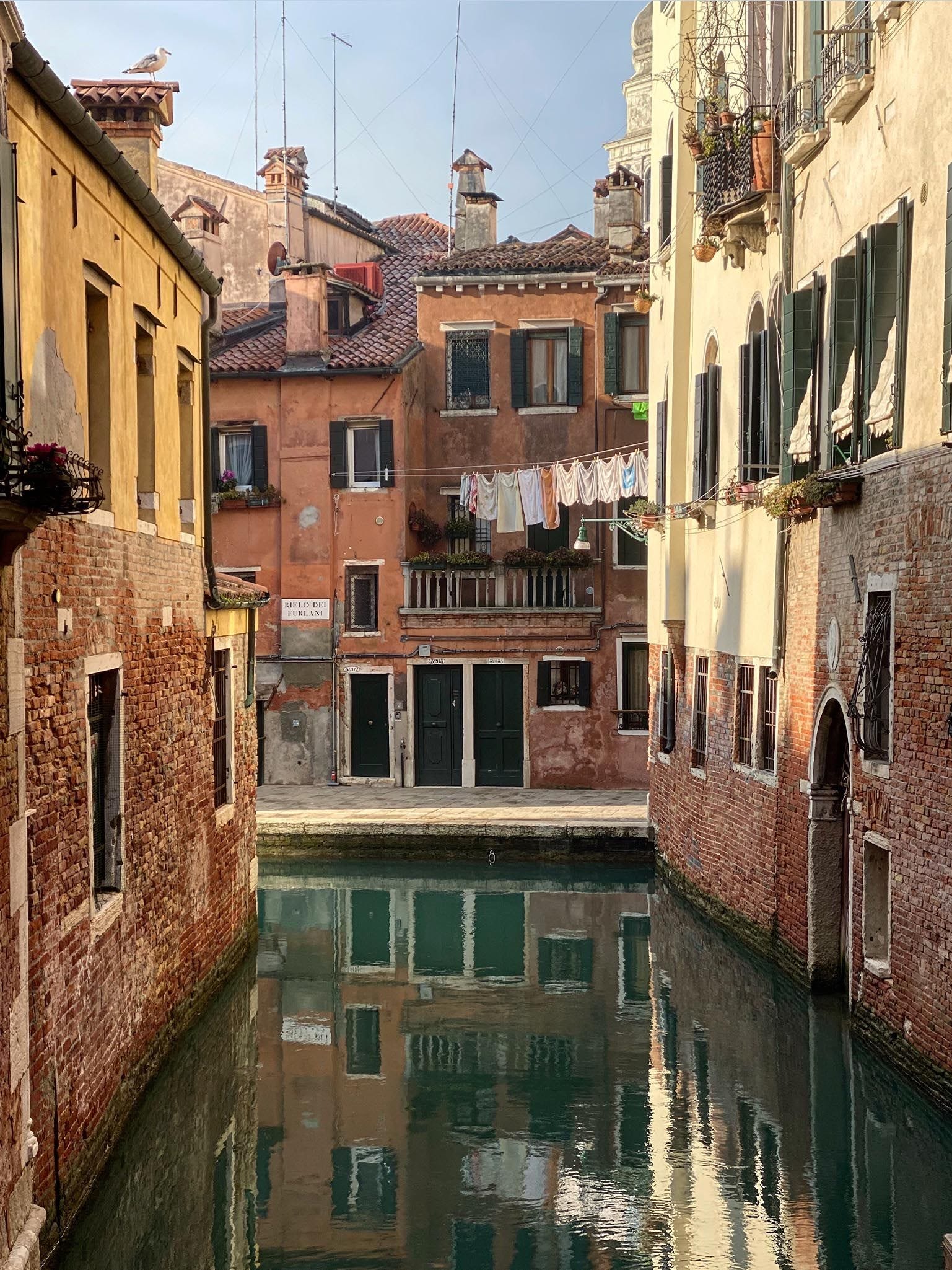 Insider's Guide to Venice - by Willow Crossley