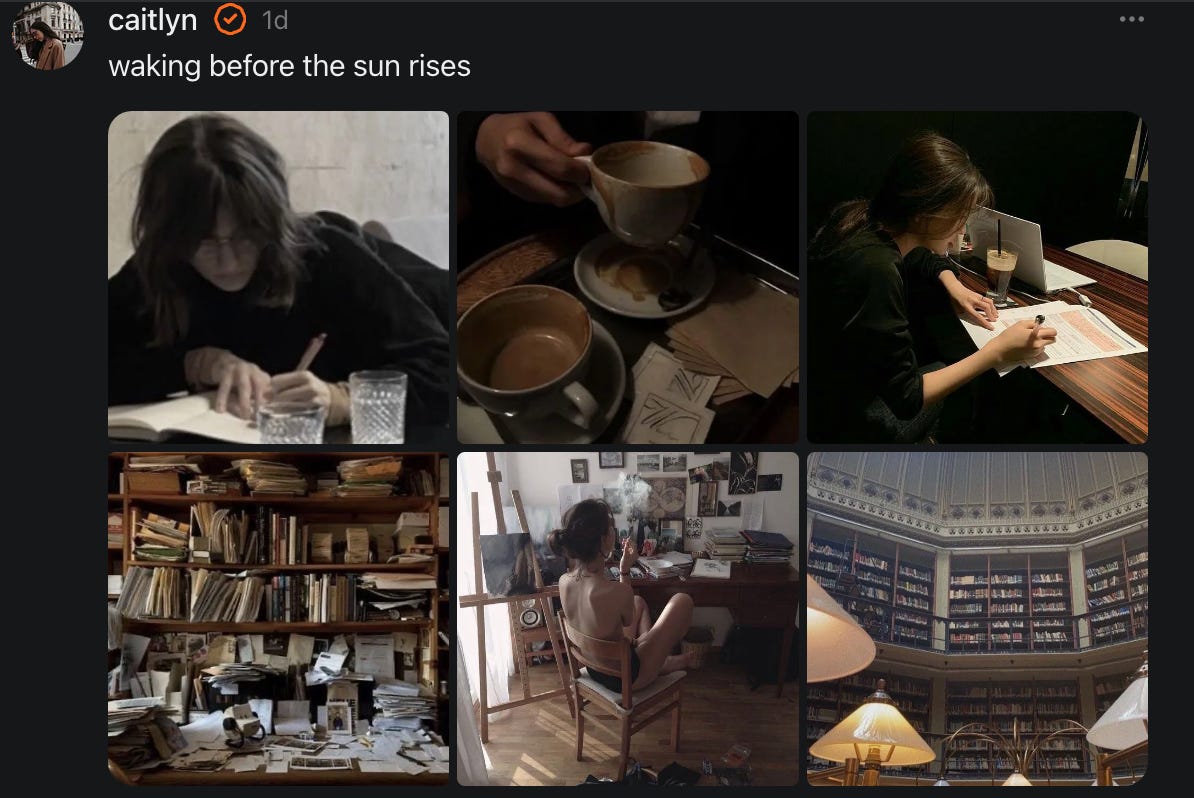 i'm a student again - by caitlyn - milk fed