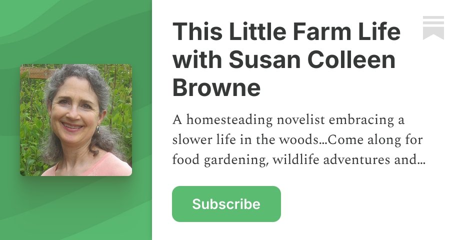 This Little Farm Life with Susan Colleen Browne | Substack
