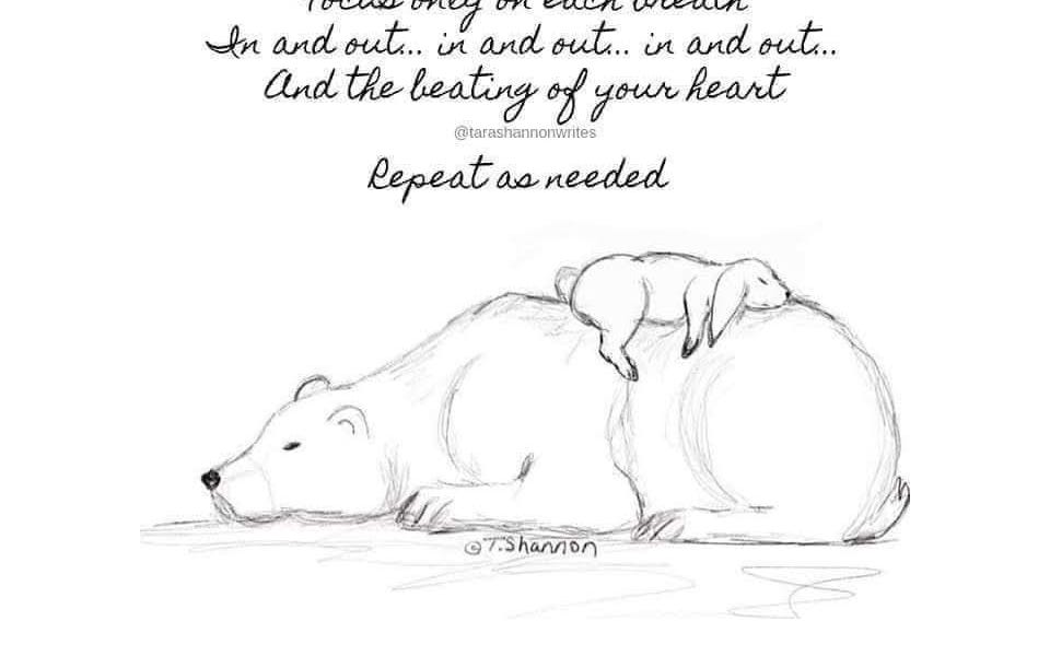 Daily Rabbit & Bear - by Tara Shannon - Tara’s Substack