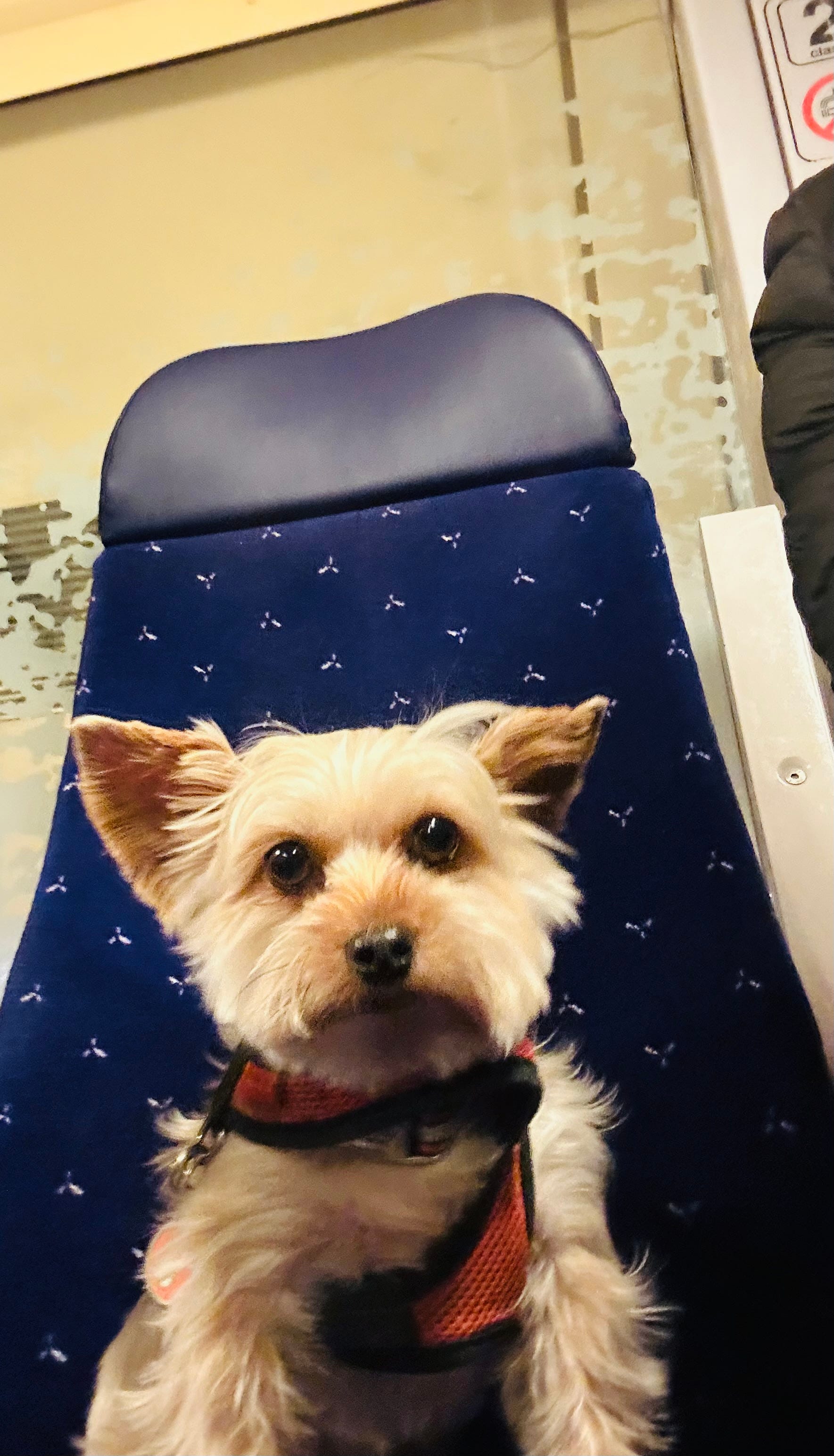 I am crying and I'm so happy...