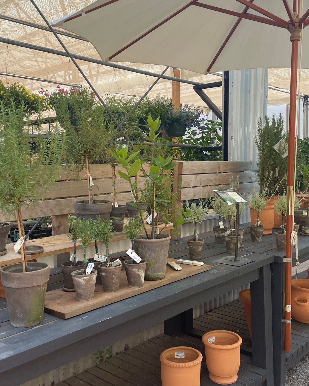 Our Favorite Spots in Mount Pleasant - by Bria Hammel