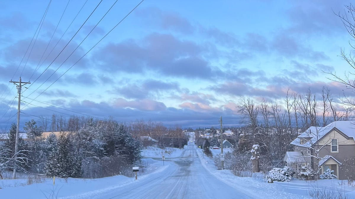 Cover Me, White as Winter - by Phylicia Masonheimer