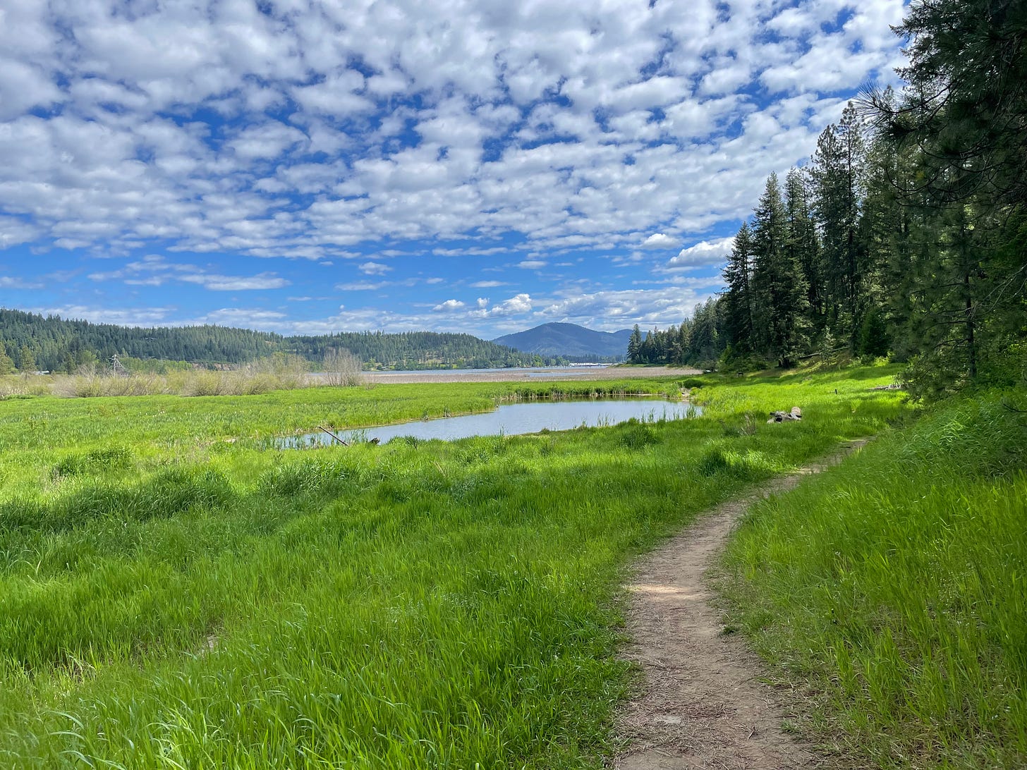 the results are in - by Sarah C Swett - The Gusset