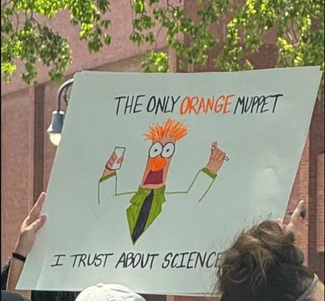 54 Anti-Trump Protest Sign Ideas for the No Kings Protest