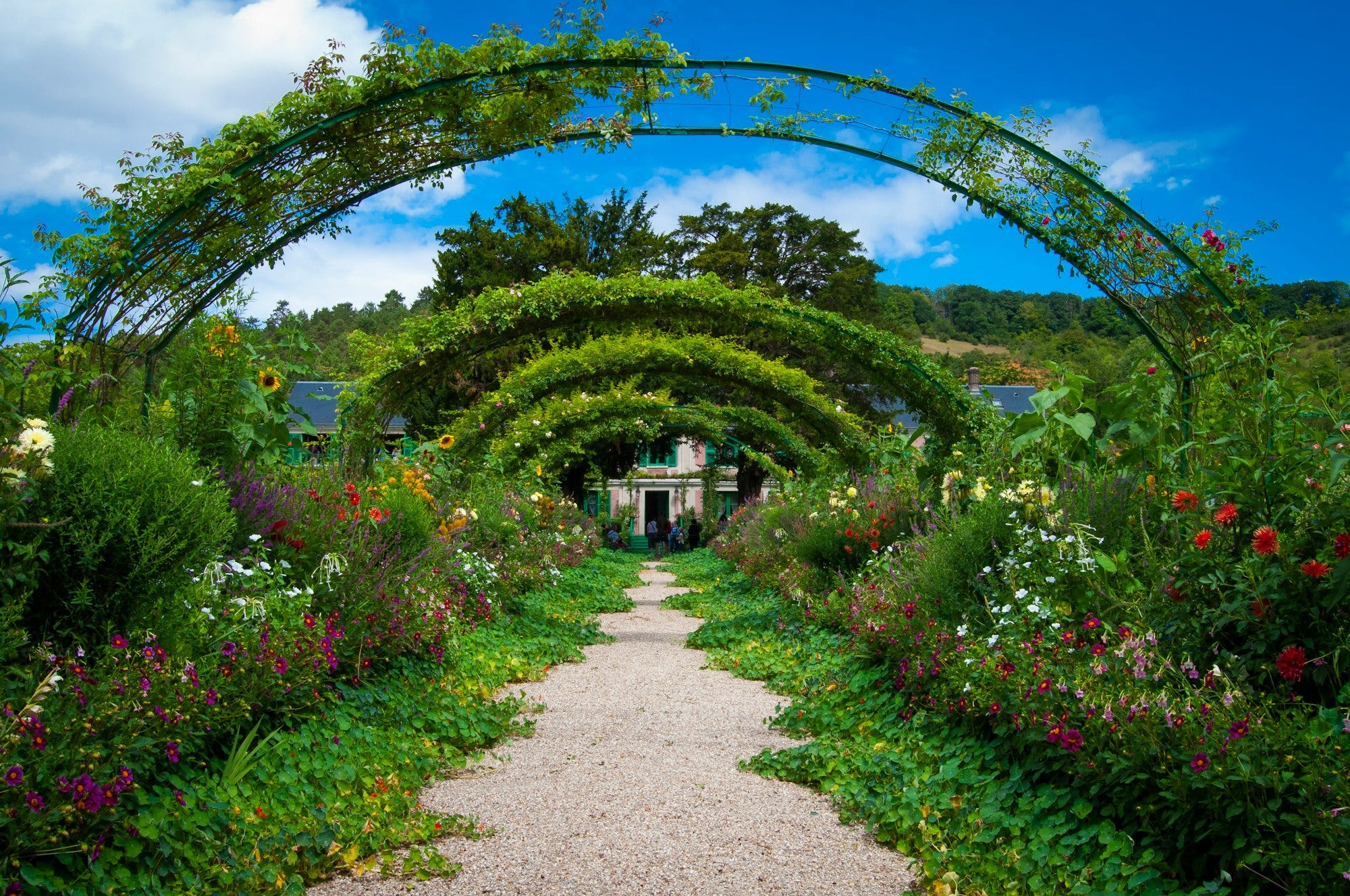 Illusions of Space in Garden Design - by Chris Bell