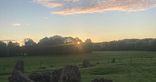 Lia Leendertz | Substack