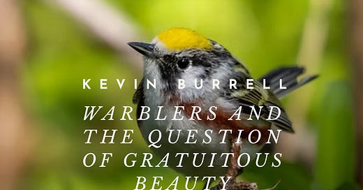 The Rabbit Room | Substack