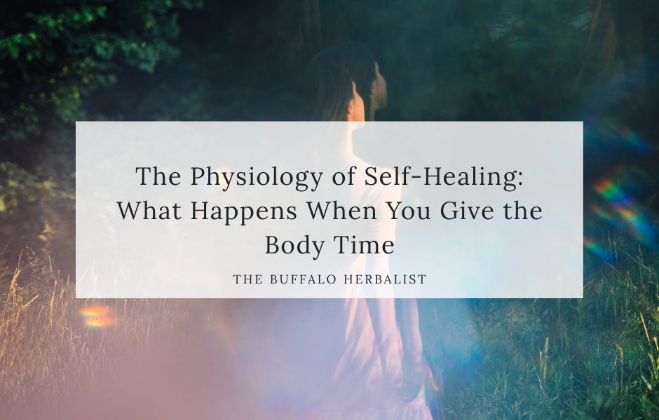 The Physiology of Self-Healing: What Happens When You Give the Body Time