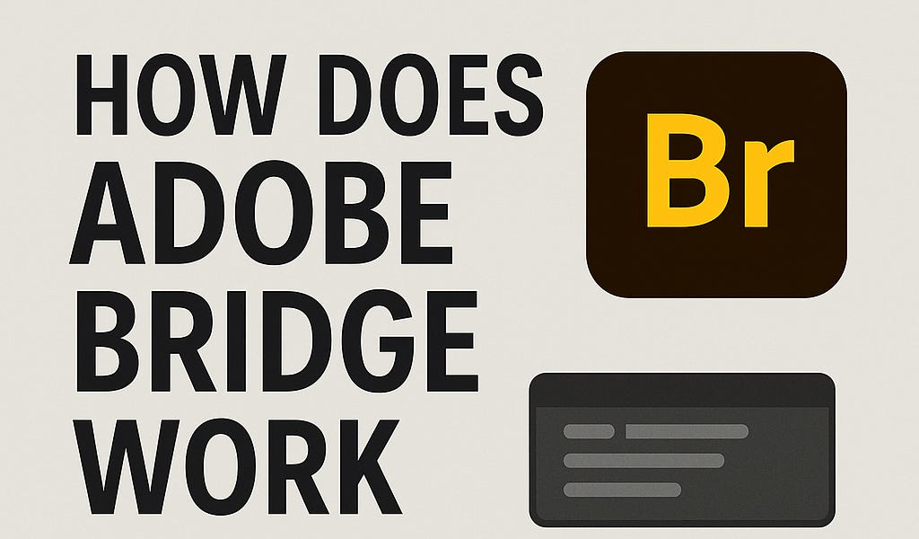How Does Adobe Bridge Work? - by Maureen Taylor