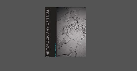 DESIRE LINES: BOOKS, CULTURE, ART | Heather King | Substack