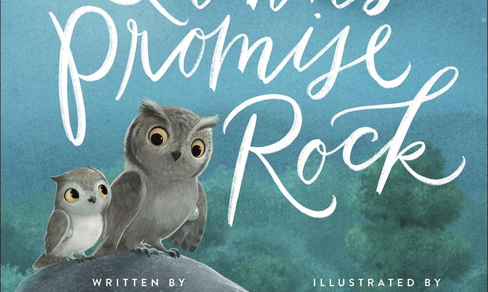 Quinn's Promise Rock - Summer of Stories 2025