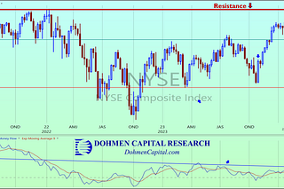 Dohmen Capital Research | Substack