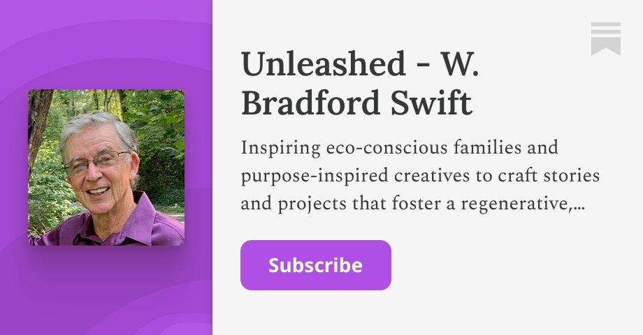 Unleashed - W. Bradford Swift | Brad Swift | Substack