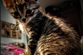 LOADESTONE Inspiration | Substack