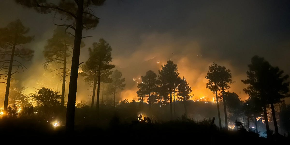 USDA Forest Service Announces $200M For 58 Projects Across The Nation ...