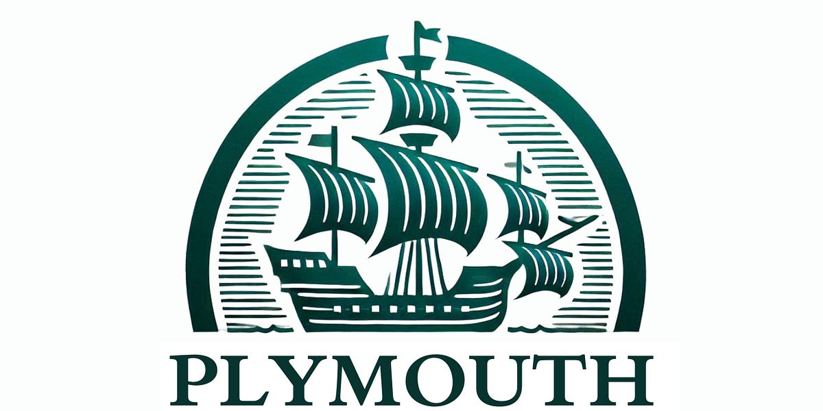 Plymouth Select Board Appoints Dozens To Town Committees Implements
