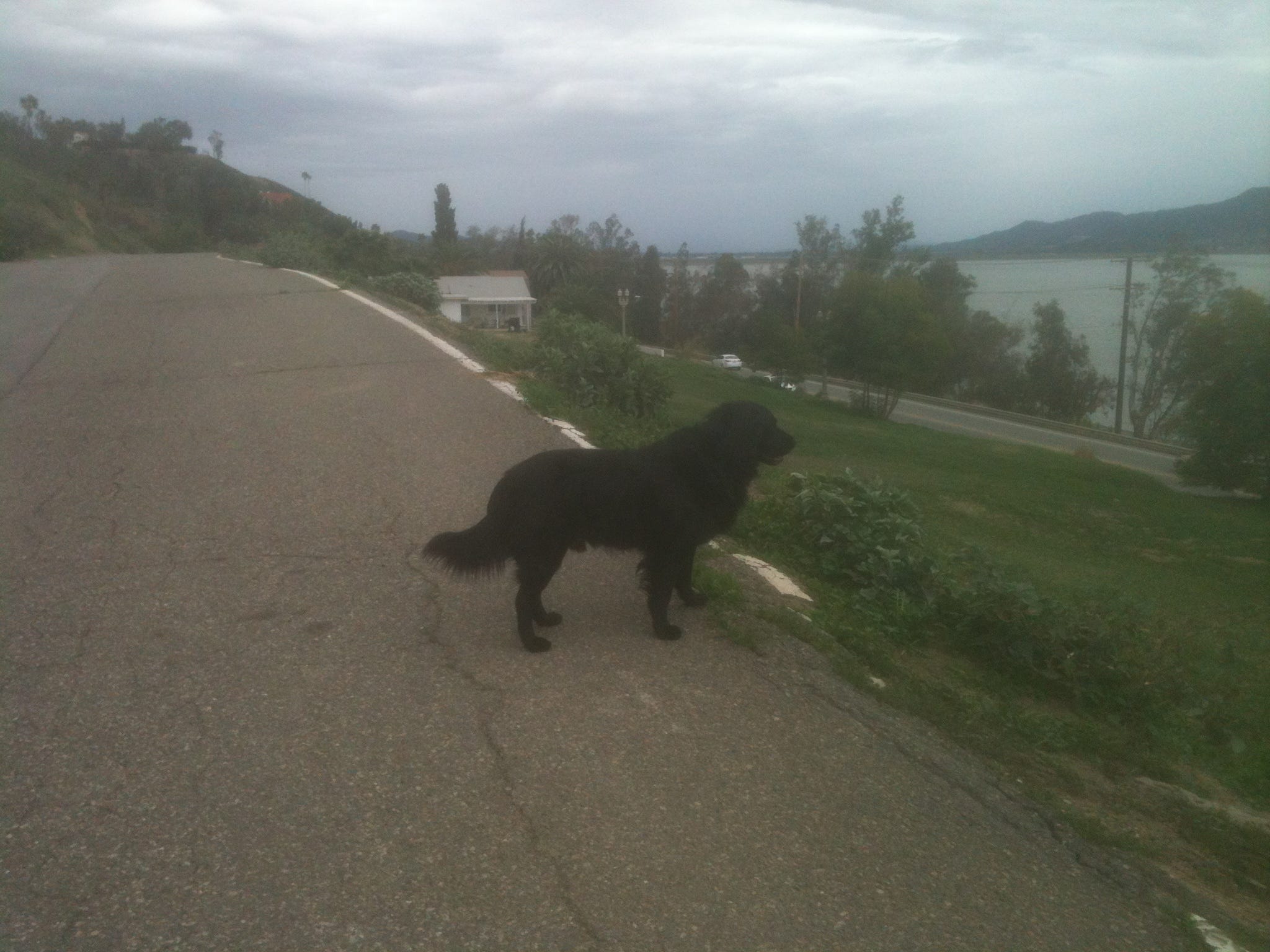 thomas buckley | Substack