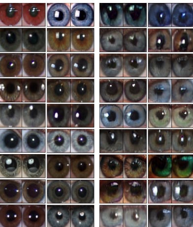 It's in their Eyes: Look into their Soulless Eyes
