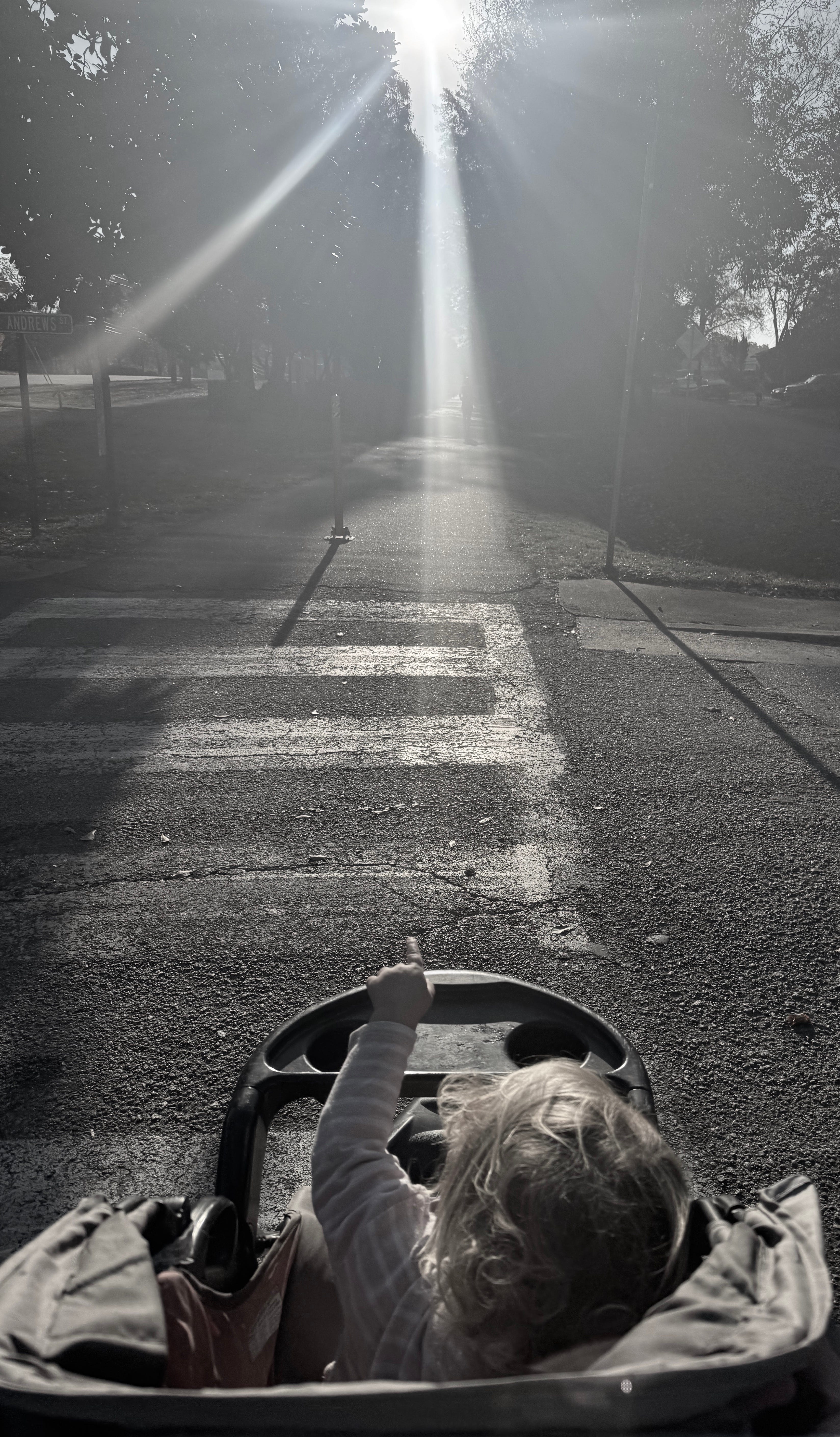 Which Way is Home? - by Merianna Harrelson