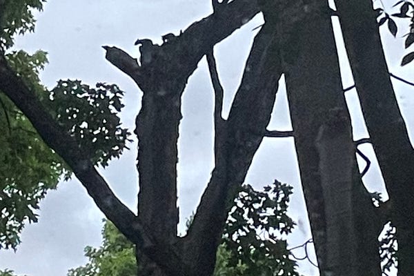 J.F. Riordan; Reflections on a Life in Exile | J. F. Riordan | Substack