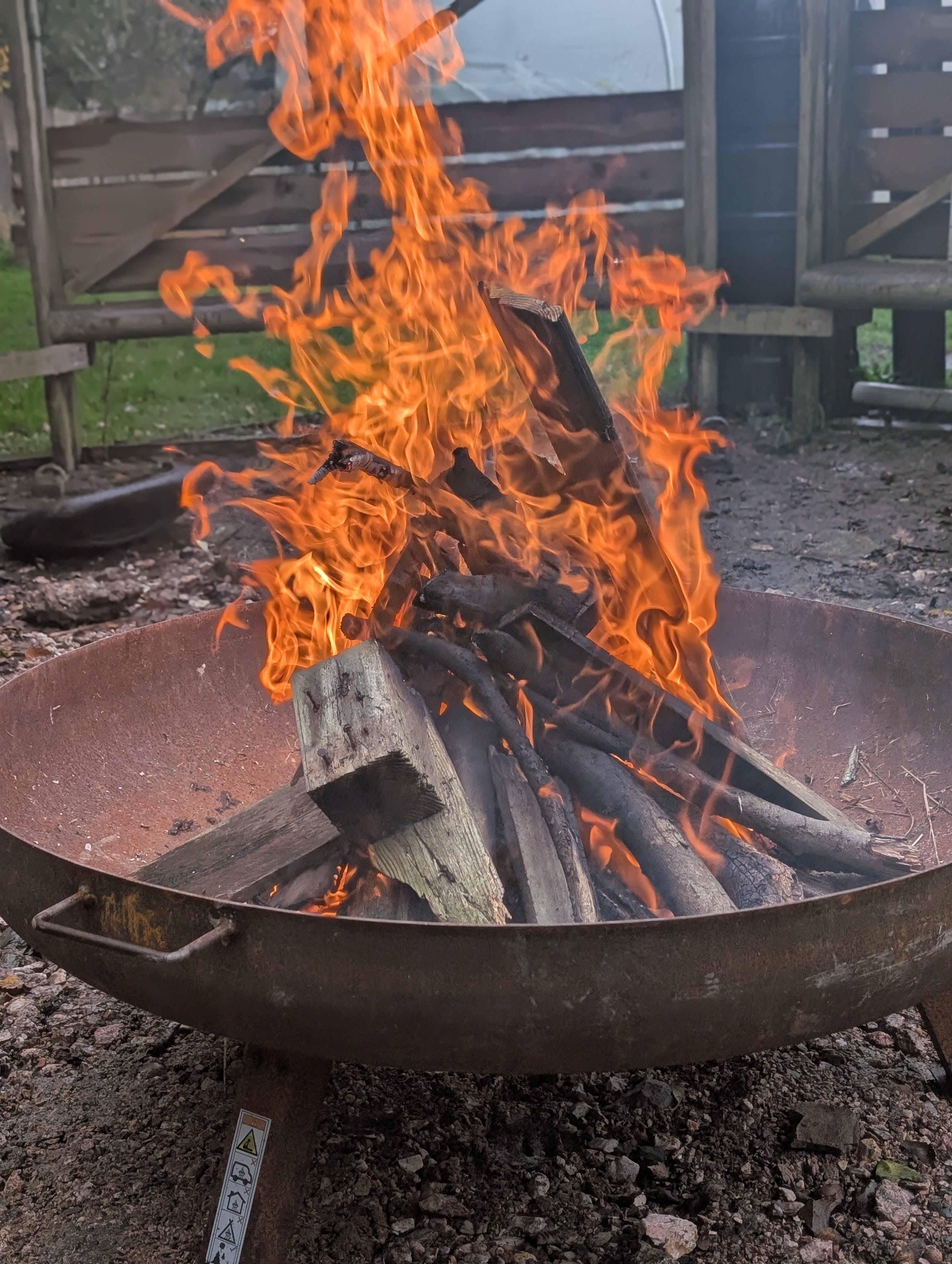 Adventures in Nature's Classroom - by Jennifer-Ann Lovelle