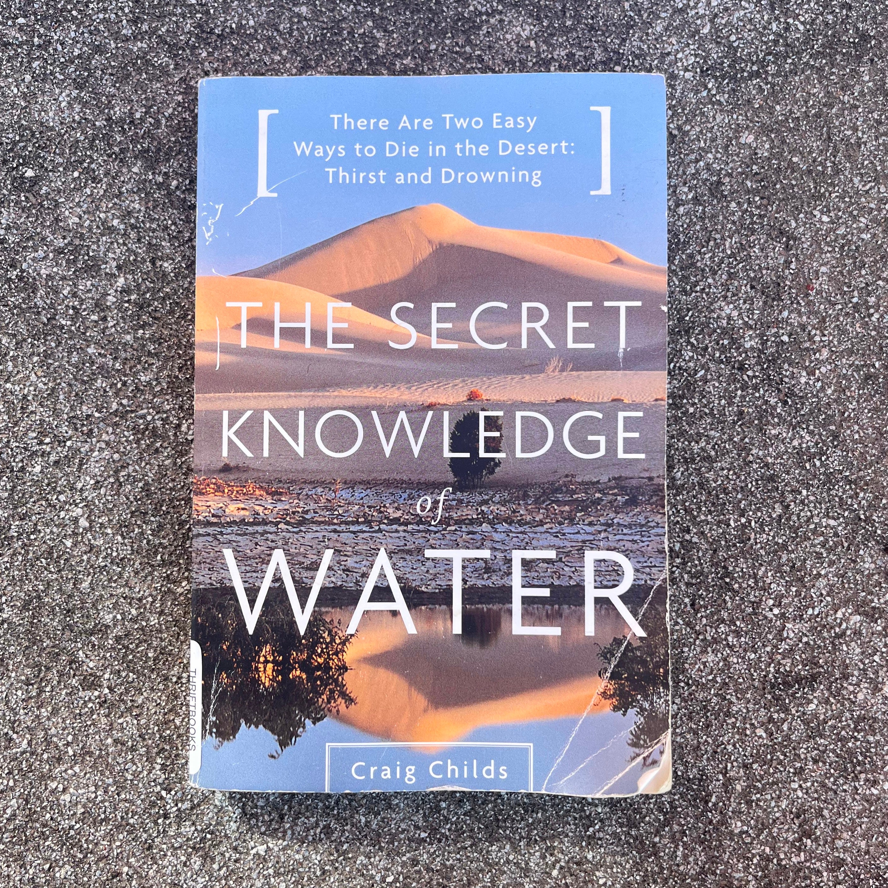 [book dump] summer 2025 - Erin’s Substack