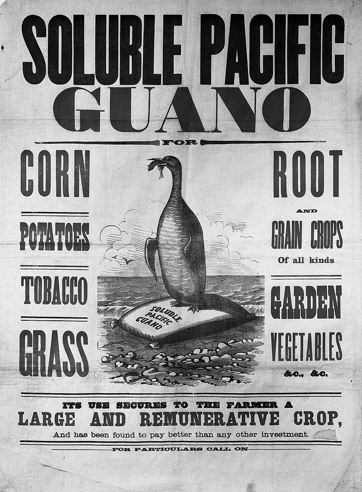 The Guano Wars: When Poop Became Power